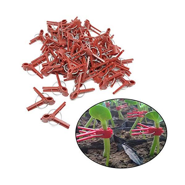 パッケージ 接木クリップ100個セット。サイズ：3.5*2.5cm。 素材 高品質のプラスチック製で、軽量で耐久性に優れ、バリのない滑らかな表面で植物の茎への摩擦ダメージを防ぎます。 しっかりしたサポート これらのクリップは植物の茎や支柱を...