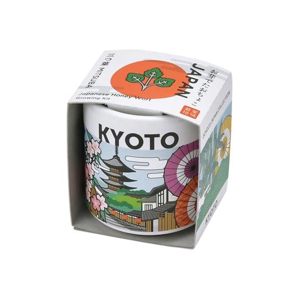 取説 日本語/英語 DIY・工具・ガーデン/ガーデン/種・苗/栽培キット