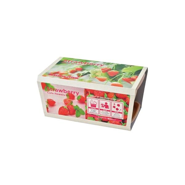 受け皿付/たっぷりと2Lの土が入ります。/プランター・トレーはリサイクルプラスチック原料を使用/植物の色・形・サイズには個体差がありますので予めご了承ください。/濃いピンクから白まで幅広いカラーの花が咲きます。DIY・工具・ガーデン/ガーデ...