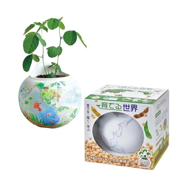 商品サイズ:約16*16.5*16.5cm商品重量:約785g素材:陶器生産国:日本DIY・工具・ガーデン/ガーデン/種・苗/栽培キット