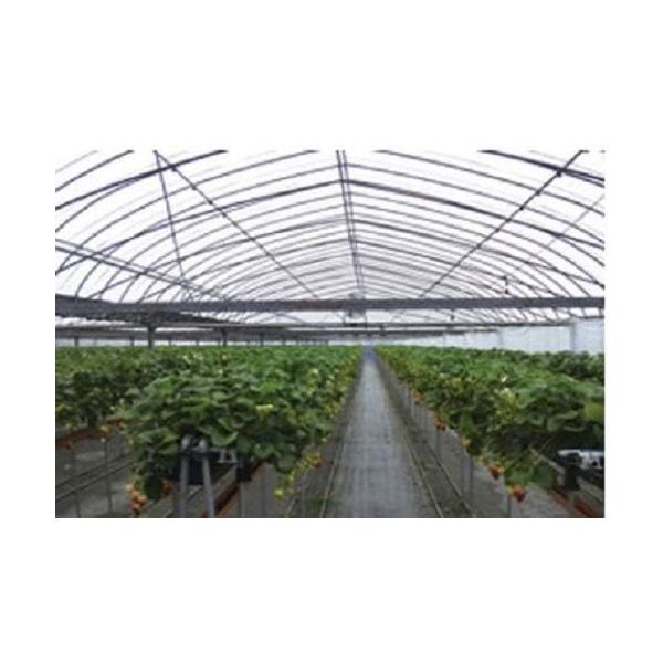 特長 : 梨地効果により散乱光の増加・ベタつかず作業性向上・霧、靄の発生を抑制性質 : 防霧滴梨地厚さ : 0.075mm長さ : 100m幅 : 200cmDIY・工具・ガーデン/ガーデン/農業・園芸用資材/農業用フィルム