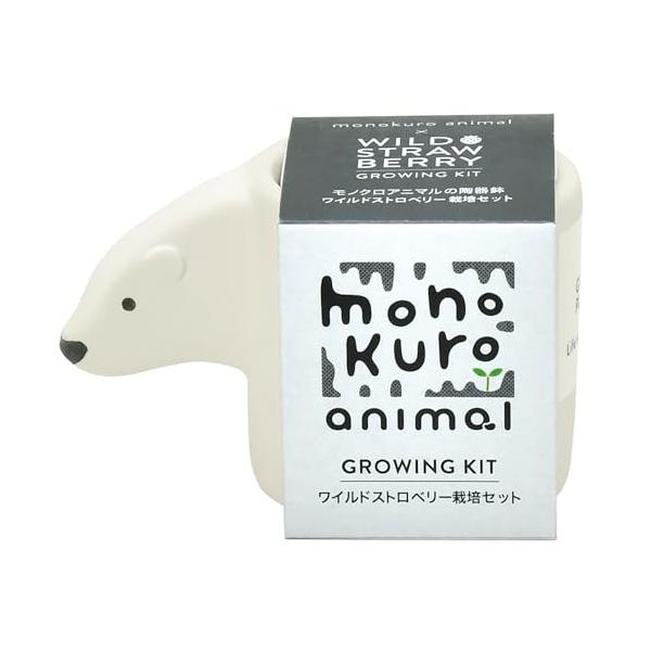 取説 日本語/英語 DIY・工具・ガーデン/ガーデン/種・苗/栽培キット