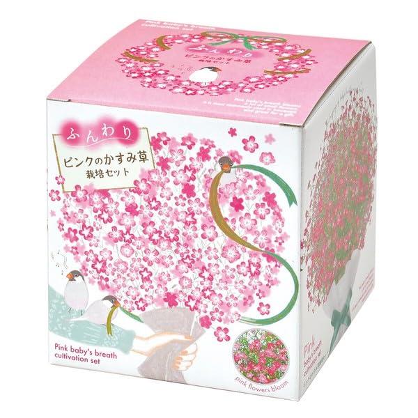 ポットはリサイクルプラスチックを使用DIY・工具・ガーデン/ガーデン/種・苗/栽培キット