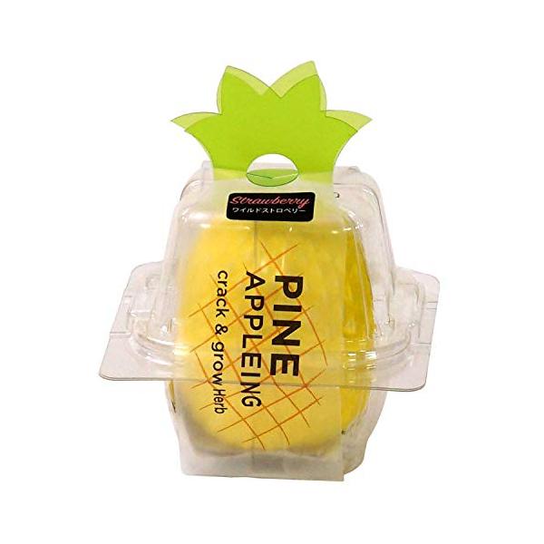 サイズ:7.6x7.4x10cmDIY・工具・ガーデン/ガーデン/種・苗/栽培キット