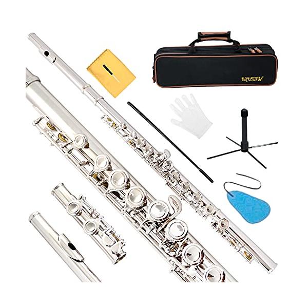 * 高品質 高い耐久性と素晴らしい音色、優れた響き、爆発性に大きな違いをもたらします。深くダークな音色で、奏者のパワーにしっかりと確実に応える響きが特長です。高級な銀メッキの16キーカバード/リングキーCフルートには、オフセットGキーとEメ...