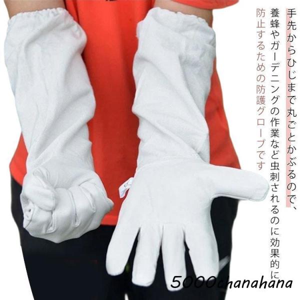 全長48cm