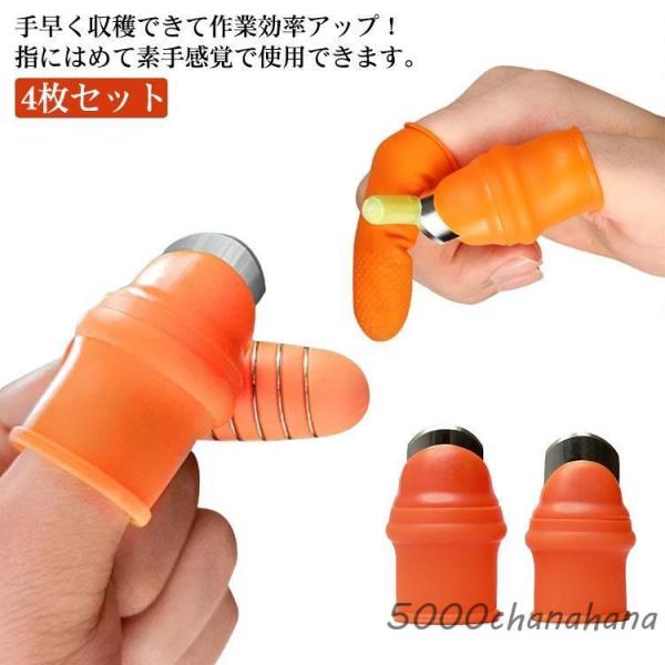 男用　女用