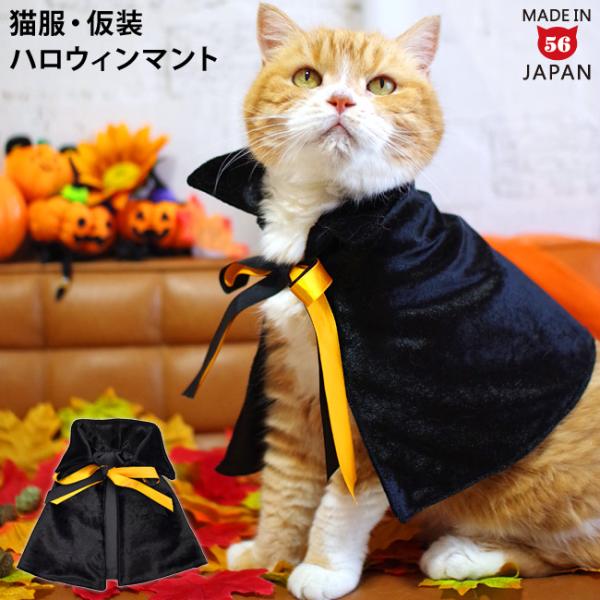 ※「ハロウィンえりつきロングマント」のみの単品売りです。ハロウィーン限定のゴロにゃんオリジナル猫服「ハロウィンえりつきロングマント」でございます。光沢のあるベロア生地でお作りしているマントなので、シンプルな黒一色でもクラシカルで高級感ある雰...
