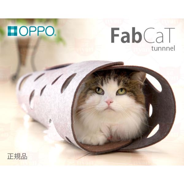 モダンでハイセンスなペット用品で知られるOPPOさんから、こんなに個性的なトンネルが届きました♪不思議な形の2つのフェルト状の生地をボタンで留めると、大小の穴がランダムに開いたトンネルに。ボタンの組み合わせを変えたり、トンネルの形から真ん中...