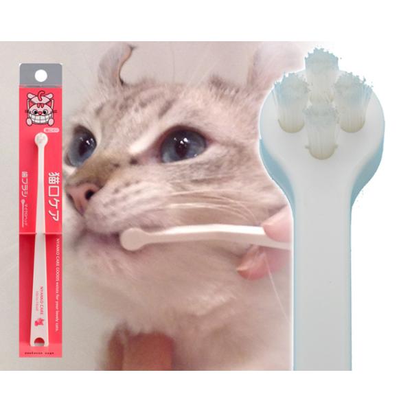 猫ちゃんだって歯が命！定期的なお手入れで歯と全身の健康をキープ全体できにブラッシングできる「マイクロヘッド歯ブラシ」です。ネコ　ねこ　猫用品　猫口ケア　デンタルケア　歯磨き　歯みがき　ハミガキ　口臭　病気　歯周病　予防　対策