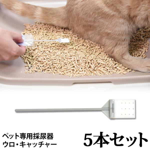 ※こちらは5本セット売りです。ウロキャッチャーは、吸尿性に優れた特殊スポンジを採用した、ペット専用の採尿器。