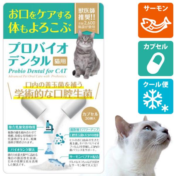 【夏季限定(7月6日〜9月11日)】※こちらはクール便でお届けするためのページです。猫ちゃんが好きな鮭皮由来のペプチドを配合したサーモン味です。口腔内の善玉菌が増えると悪玉菌が住めなくなる仕組みを活用し、お口のトラブルの原因となる悪玉菌を減...