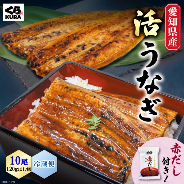 【発売日：2026年04月23日】＼今年の土用の丑の日は、くら寿司ネット通販で！／大口ご予約専用 愛知県産 活うなぎ一度も冷凍していないからこそのおいしさ！身も皮もやわらかく、ふっくらとした食感をお届け！※1箱にまとめてお送りさせていただき...