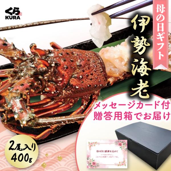【発売日：2026年04月08日】＼数量限定！母の日ギフト「伊勢海老2尾セット」／大切なお母さんへのプレゼントに！強い甘み！濃厚な味わい！鮮度の良い、良質な伊勢海老をお届け。