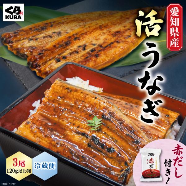 【発売日：2024年05月18日】＼今年の土用の丑の日は、くら寿司ネット通販で！／出来たてのおいしさをお届け！1尾当たりがお買い得！愛知県産 活うなぎ 4尾セット活きたまま、捌きたて・焼きたてを当日に冷蔵発送！身も皮もやわらかく、ふっくらと...