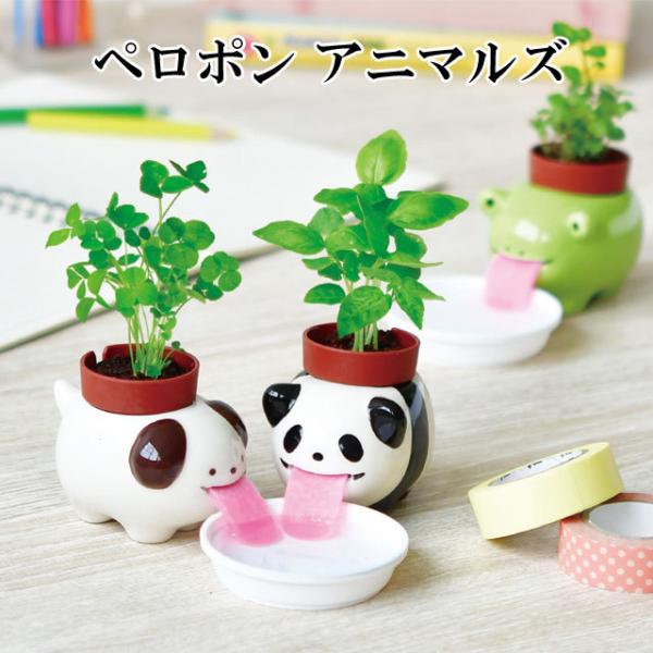 ペロペロとお水を飲んでいる姿が愛らしい「ペロポン」。飲んだお水が背中のポットへ行き渡り植物がスクスクと育ちます。イヌ、パンダ＆カエルの3種類のアニマルの仲間たち！