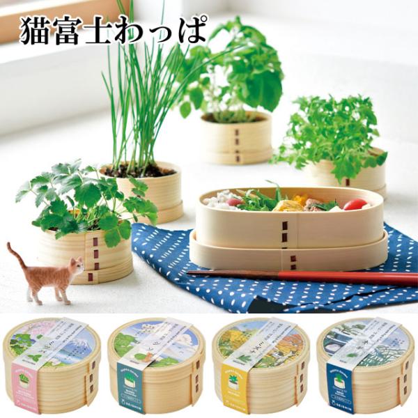 日本製の手作り曲げわっぱで、和っ葉（和風の葉菜）を育てる栽培セット。日本製の曲げわっぱで、和食に欠かせない葉菜を育てます。四季折々の富士の景色と猫をデザインした浮世絵風のパッケージ。わっぱの風合いとおうちで育った小さな緑に癒されながら、お弁...