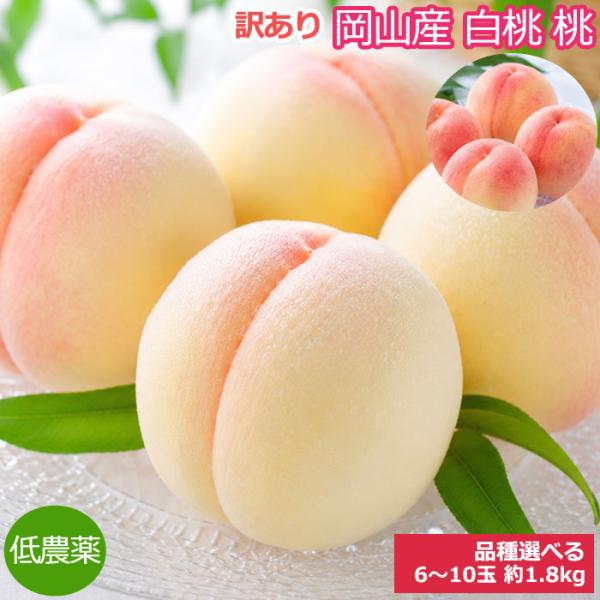 クール(冷蔵)便でお届けします。*北海道・沖縄への配送は別途500円の追加料金が掛かります予めご理解くださいませ