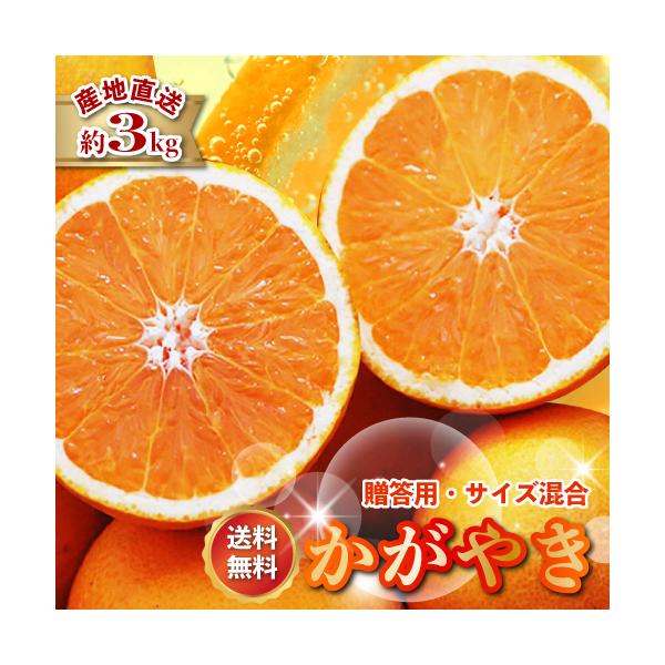 ＊ご注意下さい！かがやき（別名：サマー清見や星タンゴール）と呼ばれる品種となります。津之輝（つのかがやき）とは別品種となりますので、ご注意ください。輝き（かがやき）は、生産者が限られていますので、一 般市場には出回っていない希少品種です。清...