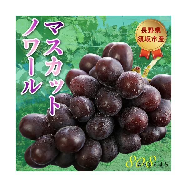 配送は常温便便でお届けします。  また、ギフト対応（熨斗・メッセージカード・ラッピング）は対応不可となります。