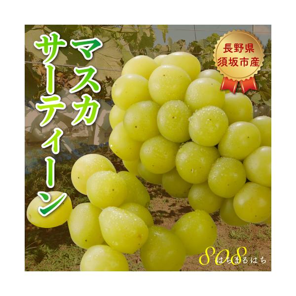 配送は常温便便でお届けします。  また、ギフト対応（熨斗・メッセージカード・ラッピング）は対応不可となります。