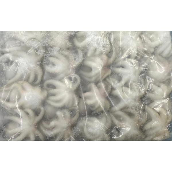 タイ又はベトナム産の生イイダコ（ホールクリーン）黒袋無しになります。サイズ：16-25規格：2Kg×6P金額：1,540円／Kg（税別）合計金額：18,480円／2Kg×6P（税別）※他サイズ下記に記載中です。☆2Kg×6P（サイズ26-4...