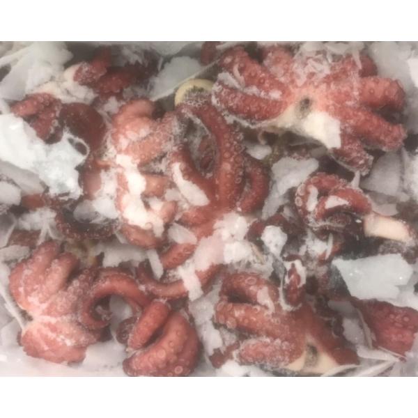 アフリカ又はアンゴラ産になります。２級品又は3級品になります。（足切２本以上、キズ、皮剥け）写真2を参照ください。品質は問題ないです。5Kg×2箱（箱約3尾〜13尾）になります。冷凍便にて出荷致します。業務用です。単価：2,350円/1kg...