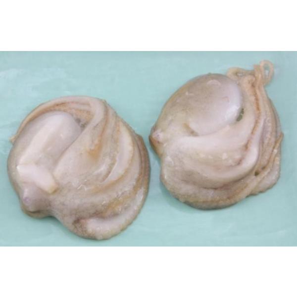 1尾サイズ約25〜40ｇになります。拡販したいため、お値打ちにて販売中単価： 1,650円／1Kg(Ｐ)（税別）受注最小ロット： 16,500円／1Kg×10Ｐ（税別）生(原)産地： イイダコ（ベトナム）賞味期限： 約半年（冷凍）解凍方法：...