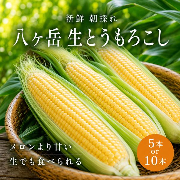 ●糖度約20度！生で食べてもおいしい、メロンより甘い「八ヶ岳生とうもろこし」元祖メロンより甘いスイートコーンです。甘さにこだわった生産者の様々な努力で、収穫期間中毎日、糖度が18度以上を記録します。生でも美味しい、火を加えるともっと甘くなる...