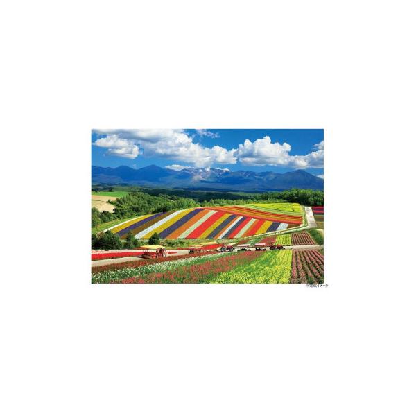 『展望花畑四季彩の丘』は北海道美瑛を象徴するエンターテイメント・ガーデン。畑一面に花が咲き誇り、トラクターバスに乗りながら美しい色彩と、いっぱいの花の香りに包まれた時間を満喫することが出来る。緩くうねりのある丘が独特の風景を形作っていて、そ...