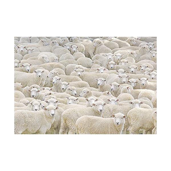 ホワイト/-/M81-627・日本製・この地獄をクリアできるか・初心者は絶対に手を出さないでください。・ひつじが一匹、ひつじが二匹ZZZ 眠気に耐えてパズルを組み上げることができるか・組み立てる必要がある