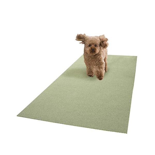 ・グリーン フラットタイプ 60×120cm CMLF-9089br・・Size:フラットタイプ 60×120cmColor:グリーン・本体サイズ (幅X奥行X高さ) :60×0.5×120cm・原産国:日本・本体重量:0.28kg・パッケ...