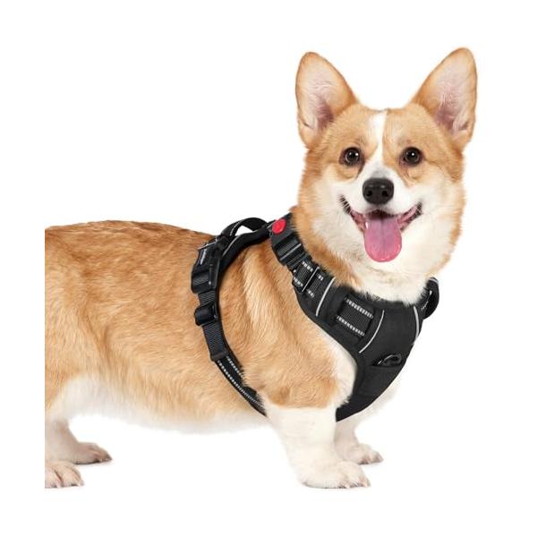 ブラック/Sサイズ (x 1)/DGBDSCKK01SBK23CW-EU・Size:Sサイズ (x 1)Color:ブラック・パッケージ個数:1・ぴったりフィット感を実現：四ヶ所に調整な部分があり、ほとんどの犬種に適応し、自由な動きを確保し...