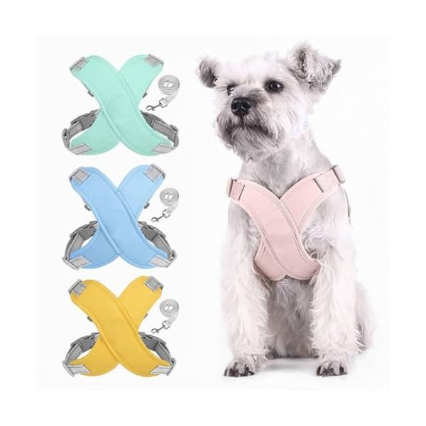 ブルー/M-（6-10kg）/1168876・Color:ブルーSize:M-（6-10kg）・パッケージ個数:1・3層デザインで通気性抜群表面は耐久性に優れたポリエステル斜紋布、強度と耐摩耗性を兼備しながら軽量化。中間層には2mm厚の柔ら...