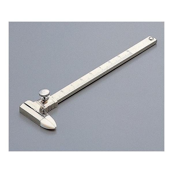 ●<商品詳細参考ページ>外部リンク：https://axel.as-1.co.jp/asone/d/0-086-02/●タイプ：オイレンブルヒ式●全長（mm）：130●材質：ステンレス（SUS410）●10cm計測メモリ付き●事...