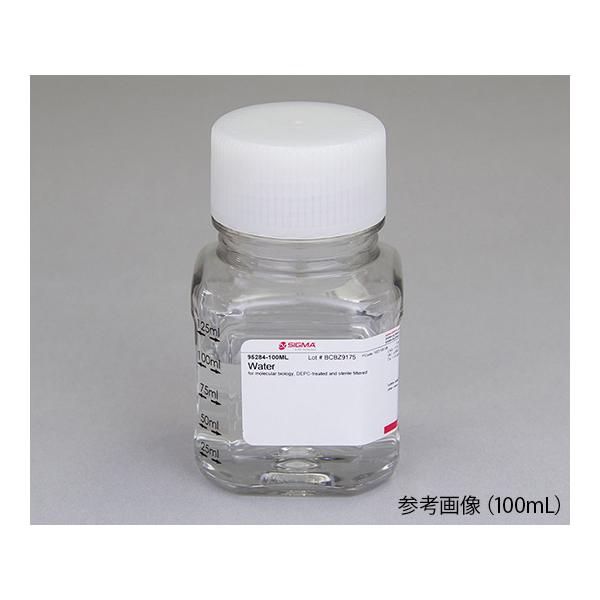 <商品詳細参考ページ>外部リンク：https://axel.as-1.co.jp/asone/d/2-5209-15/●事業者向け商品です●容量（mL）：100●★入数：1本●DNase・RNaseフリー●プロテアーゼフリー●ホ...