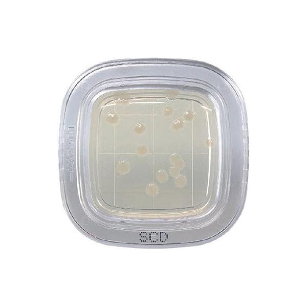 ●<商品詳細参考ページ>外部リンク：https://axel.as-1.co.jp/asone/d/2-6430-30/●品名：SCD寒天培地●使用目的：一般生菌数測定用●測定する集落：黒色集落●入数：1箱（20枚入）●培地表面...