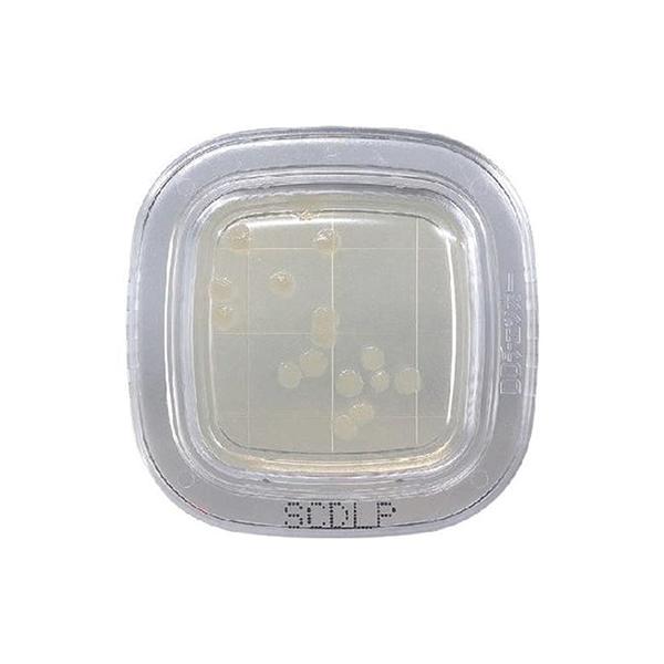 ●<商品詳細参考ページ>外部リンク：https://axel.as-1.co.jp/asone/d/2-6430-31/●品名：SCDLP寒天培地●使用目的：一般生菌数測定用（不活性剤含有）●測定する集落：黒色集落●入数：1箱（...