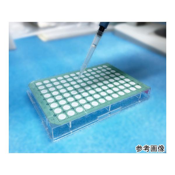 ●<商品詳細参考ページ>外部リンク：https://axel.as-1.co.jp/asone/d/60-2985-76/●事業者向け商品です。●サイズ：80×122×厚さ0.4mm（96wellplate対応）●メッシュサイズ...
