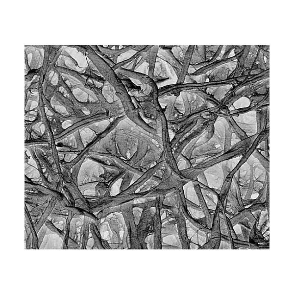 ●<商品詳細参考ページ>外部リンク：https://axel.as-1.co.jp/asone/d/61-0190-35/●事業者向け商品です。●フィルター直径、mm：25●材質：セルロースファイバー●フィルターカラー：白色●フ...