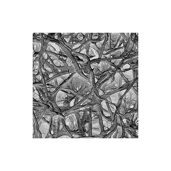 ●<商品詳細参考ページ>外部リンク：https://axel.as-1.co.jp/asone/d/61-0194-48/●事業者向け商品です。●フィルター直径、mm：47●材質：セルロースファイバー●フィルターカラー：白色●フ...