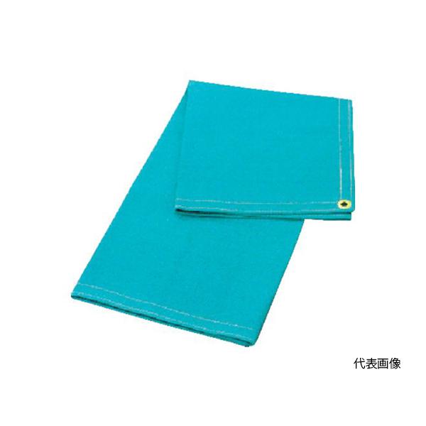 ●<商品詳細参考ページ>外部リンク：https://axel.as-1.co.jp/asone/d/61-2907-24/●ハトメ数：12●種別：2号●幅（mm）：920●ハトメピッチ（mm）A：440●ハトメピッチ（mm）B：...