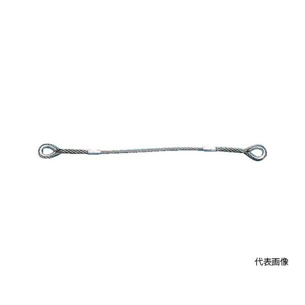 ●<商品詳細参考ページ>外部リンク：https://axel.as-1.co.jp/asone/d/61-2993-83/●安全使用荷重2本垂直吊り（t）：1.35●全長（m）：2.5●スリング径（mm）：9●タイプ：E●両側シ...