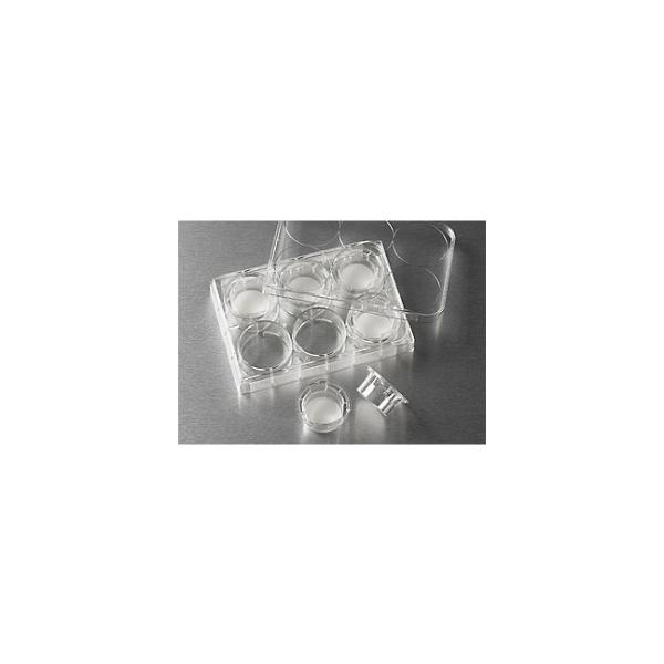 ●<商品詳細参考ページ>外部リンク：https://axel.as-1.co.jp/asone/d/61-4688-25/●事業者向け商品です。●6ウェル●0.4μm●細胞培養表面処理済み●入数：1ケース（6個/パック×4パック）