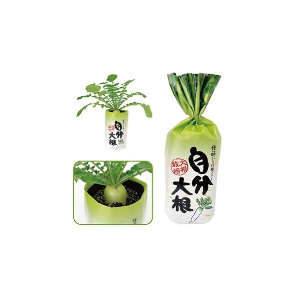 ●<商品詳細参考ページ>外部リンク：https://axel.as-1.co.jp/asone/d/61-6066-21/●事業者向け商品です。●自分大根●パッケージサイズ：130×120×360mm●セット内容：栽培容器、種、...