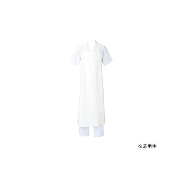 <商品詳細参考ページ>外部リンク：https://axel.as-1.co.jp/asone/d/61-6087-53/●事業者向け商品です●素材：ナイロン100%?ポリウレタンコーティング●男女兼用●前中心丈：110●防水加工...