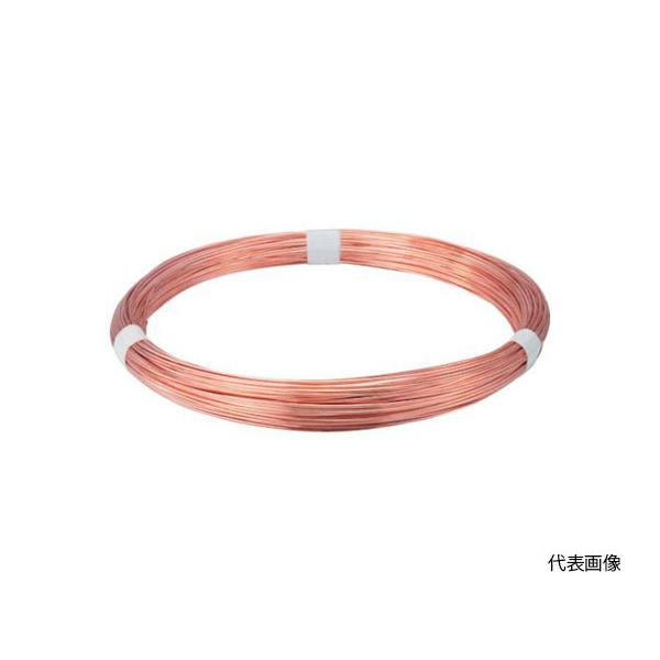 ●<商品詳細参考ページ>外部リンク：https://axel.as-1.co.jp/asone/d/61-8871-99/●線径（mm）：0.55●番手：24●長さ（m）：7●使用荷重（kgf）：1●線芯（mm）：-●被覆カラー...