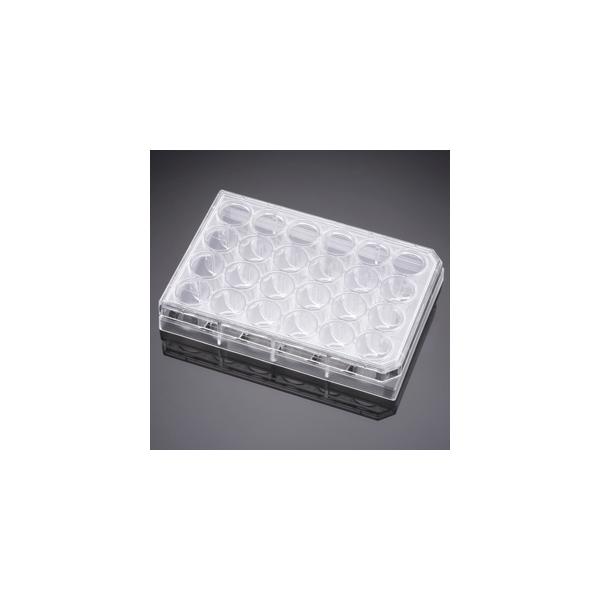 ●<商品詳細参考ページ>外部リンク：https://axel.as-1.co.jp/asone/d/62-2189-42/●事業者向け商品です。●PureCoat●アミン●24ウェルプレート●入数：1ケース（5個/パック×1パック）