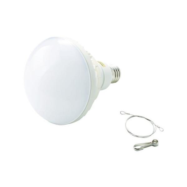 ●<商品詳細参考ページ>外部リンク：https://axel.as-1.co.jp/asone/d/62-2576-96/●全光束（lm）：4300●適合機種：RTL-505、510、505EP、510EP●明るさ（lm）：43...