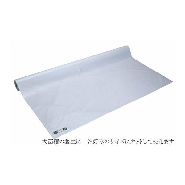 ●<商品詳細参考ページ>外部リンク：https://axel.as-1.co.jp/asone/d/62-8148-07/●事業者向け商品です。●材質：ポリエステル基布に塩ビ防炎加工●入数：1本入